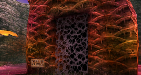 Swamp Spider House