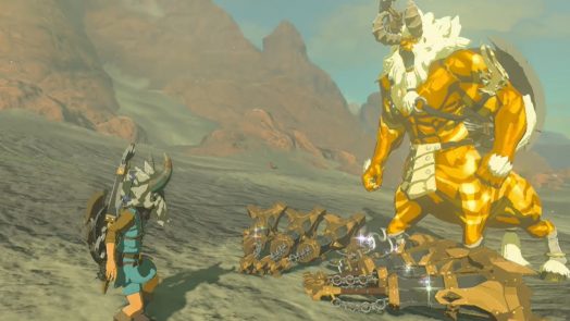 Zelda’s Study: Lynel species overview
