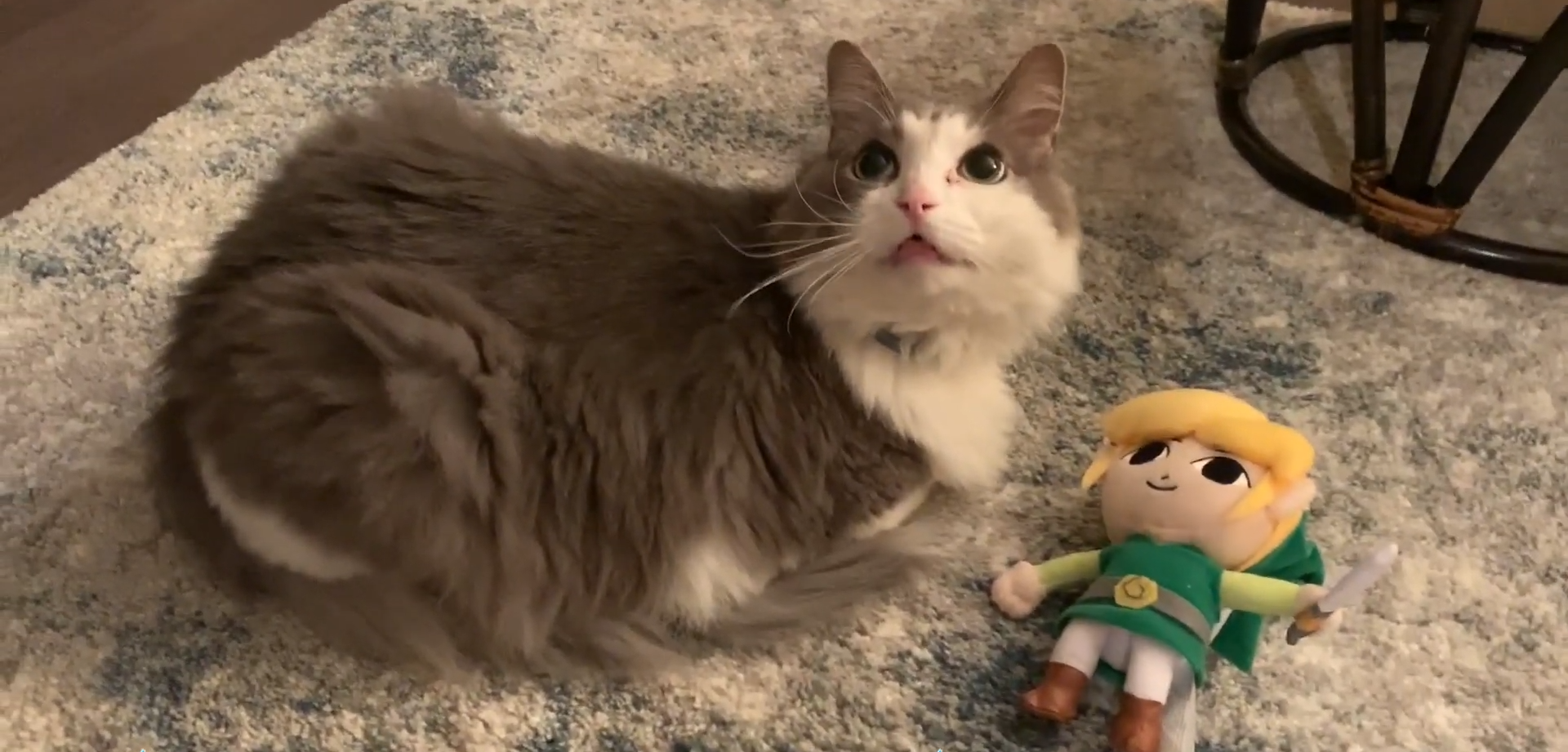 Zelda News: Tokyo Game Show 2020, PAX, and more - Zelda Universe